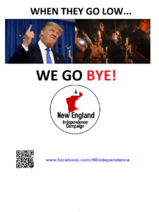 Graphics and Leaflets – New England Independence Campaign